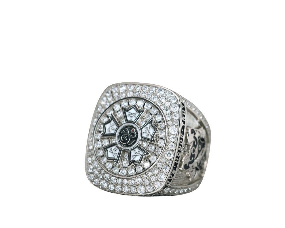 Sigma Nu Fraternity Ring (ΣΝ) - Shine Series, Silver – fratrings