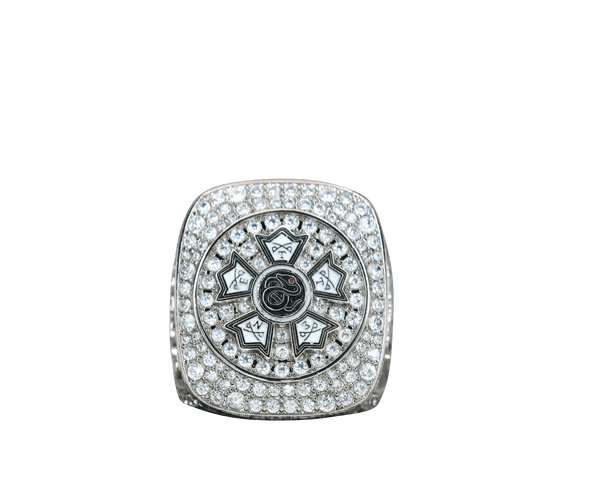 Sigma Nu Fraternity Ring (ΣΝ) - Shine Series, Silver – fratrings